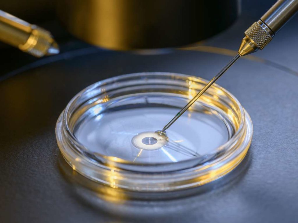 FIVET - Dott.ssa Maria Rita Rampini